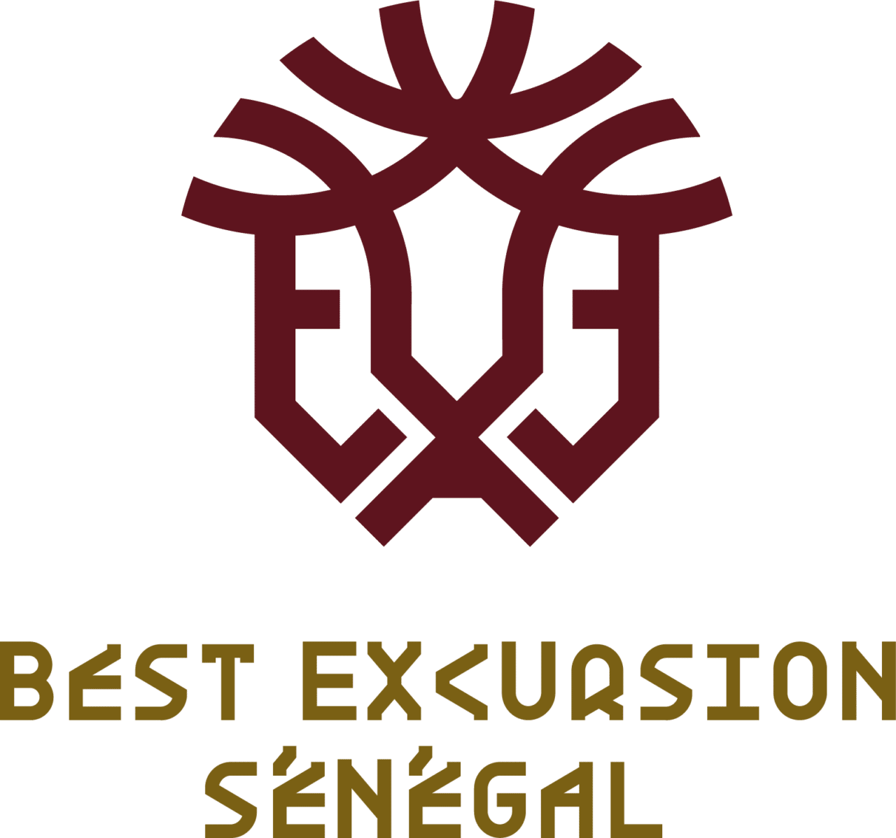 Excursion in Senegal: Discover the country with a Local Guide